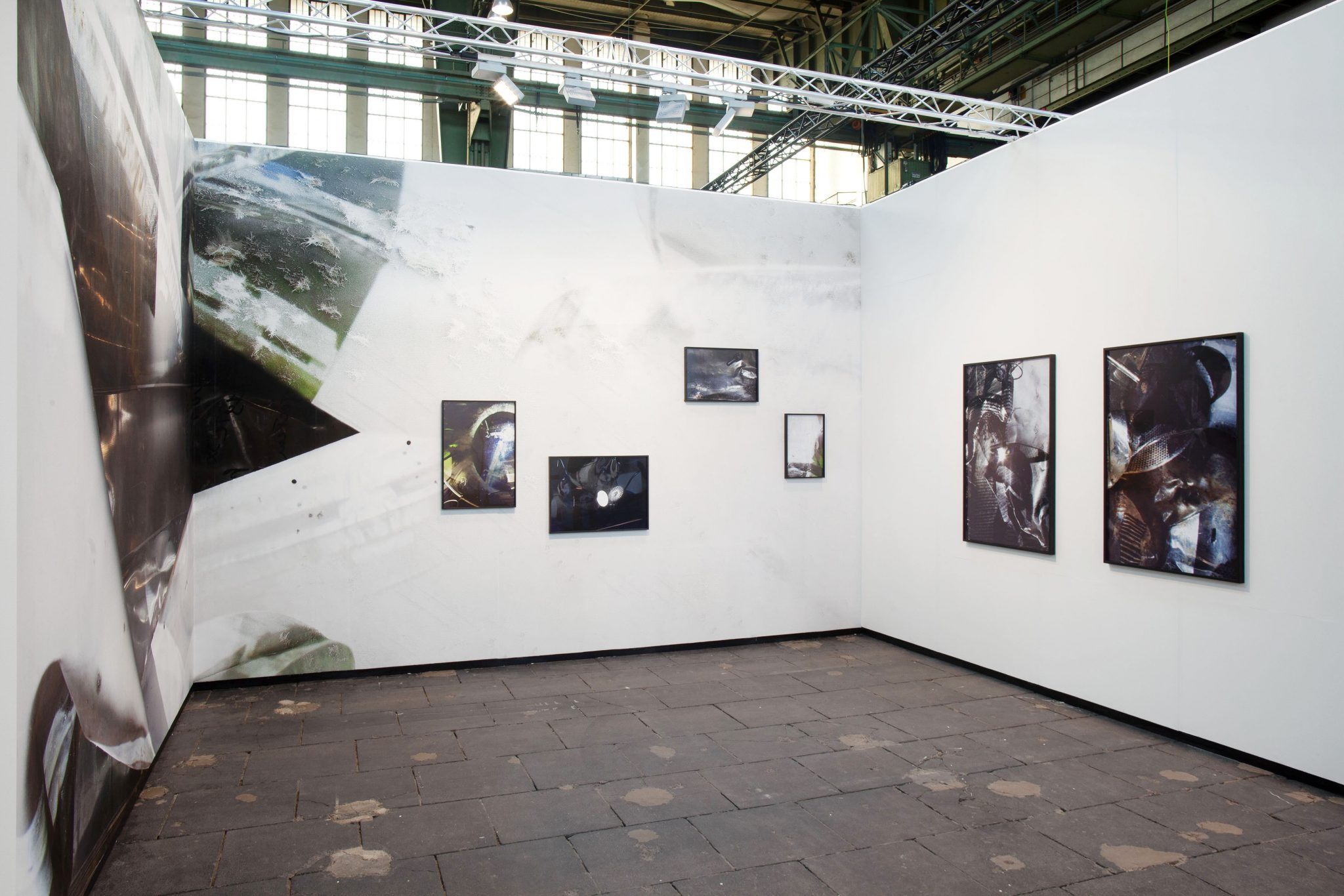 Dicus - Astrid Busch