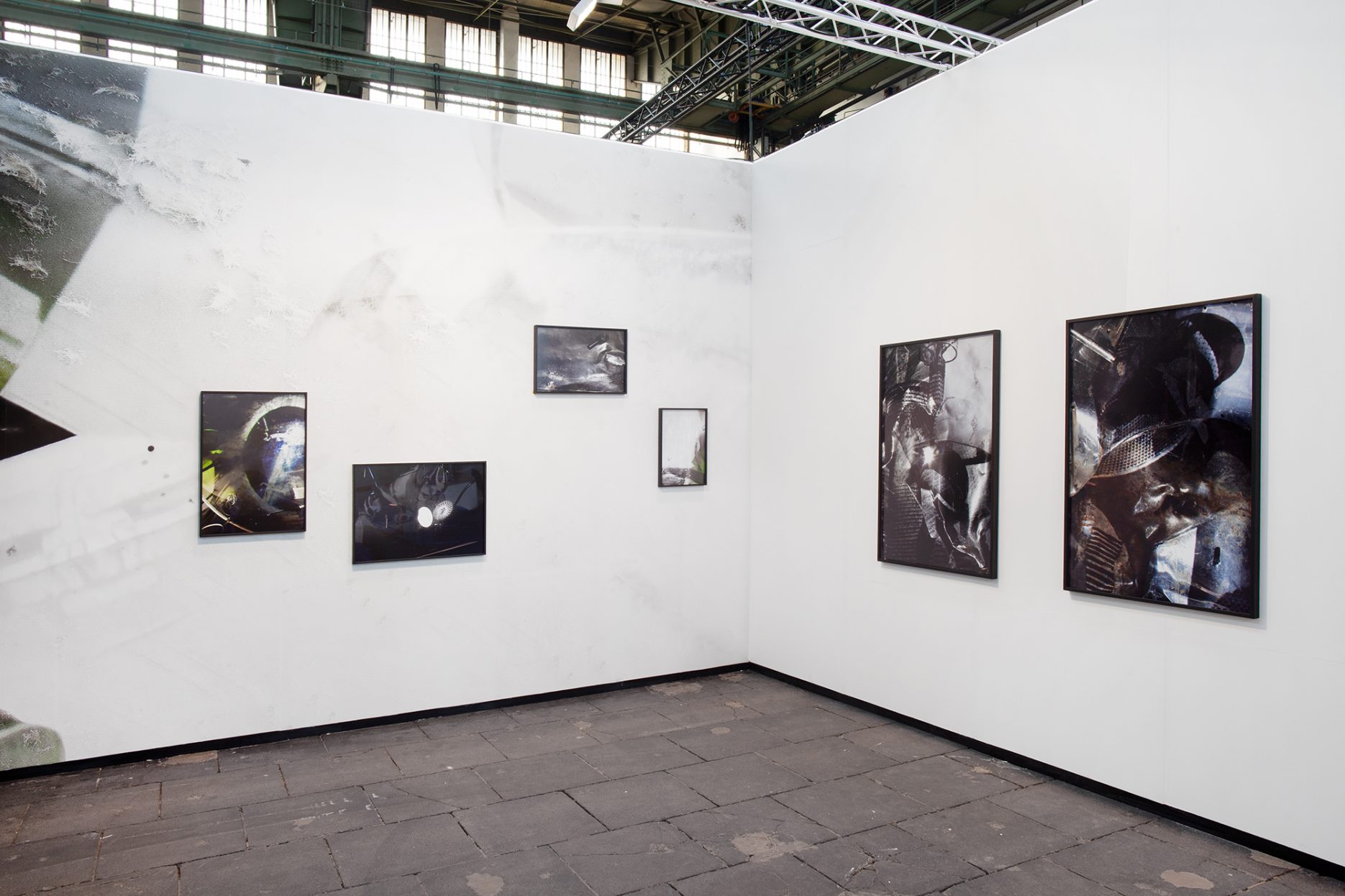 Dicus - Astrid Busch